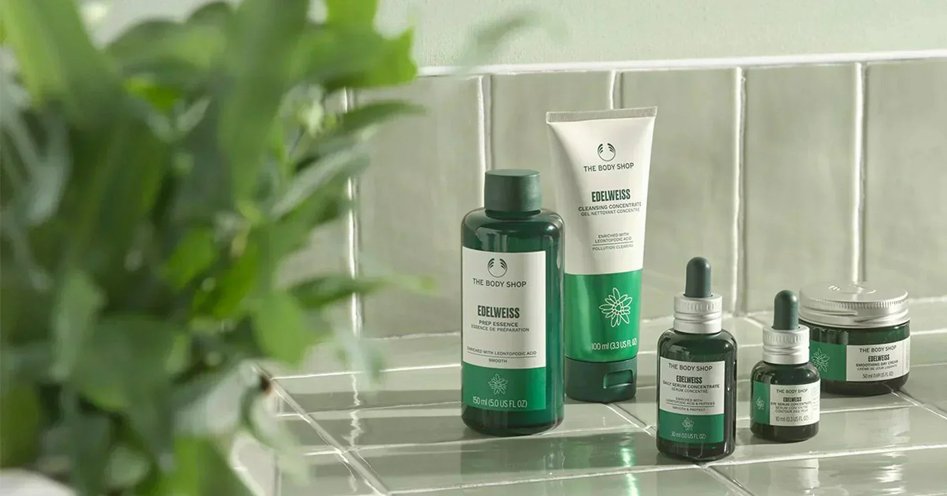 The Benefits Of Edelweiss for Skin – The Body Shop